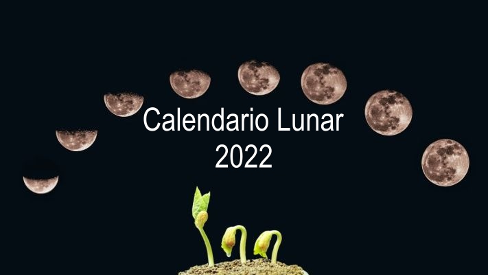 Calendario Lunar 2022 Pdf Infoagronomo