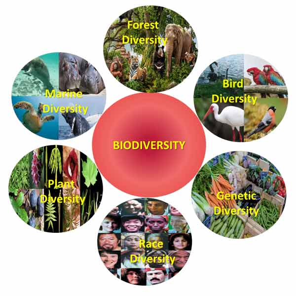 Biodiversity Conservation Iaspoint