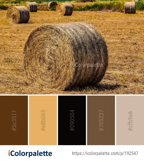 343 Agriculture Color Palette Ideas In 2024 Icolorpalette