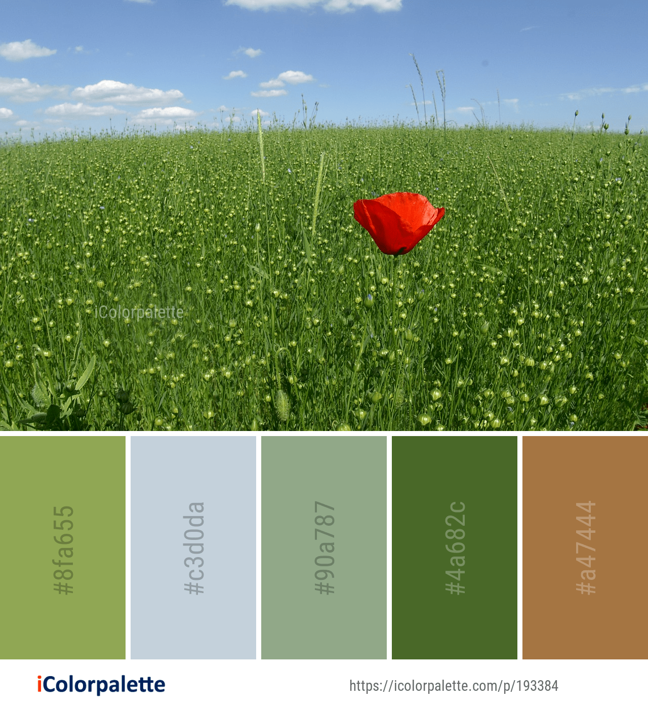 343 Agriculture Color Palette Ideas In 2024 Icolorpalette