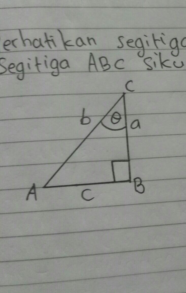 Segitiga Abc Siku Siku Di B Studyhelp