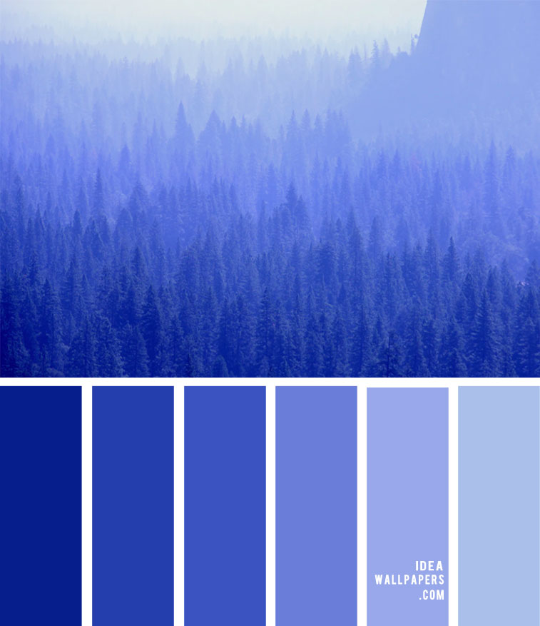 Cobalt Blue Color Palette Idea Wallpapers Iphone Wallpaperscolor