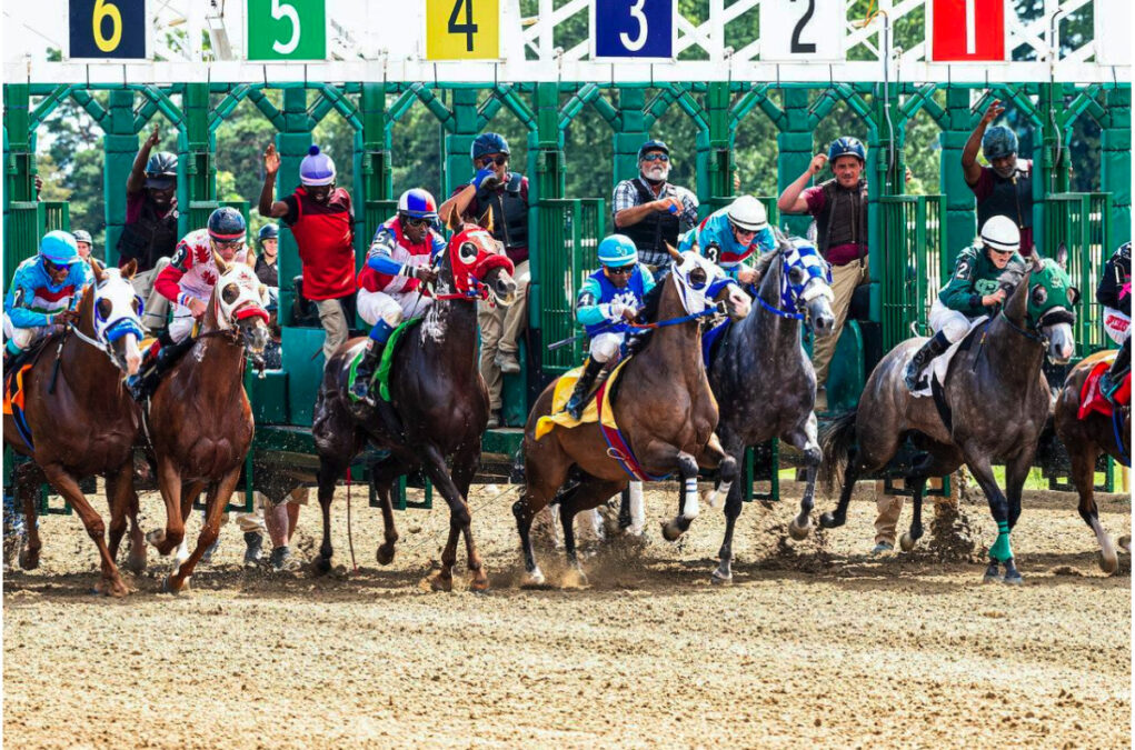 Three Of The Biggest Horse Races In The World I Get Talk