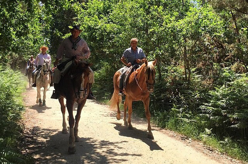 Consejos Para Realizar El Camino De Santiago A Caballo Iperegrinos