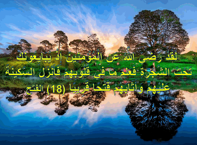 لَقَدْ رَضِيَ اللَّهُ عَنِ الْمُؤْمِنِينَ إِذْ يُبَايِعُونَكَ تَحْتَ