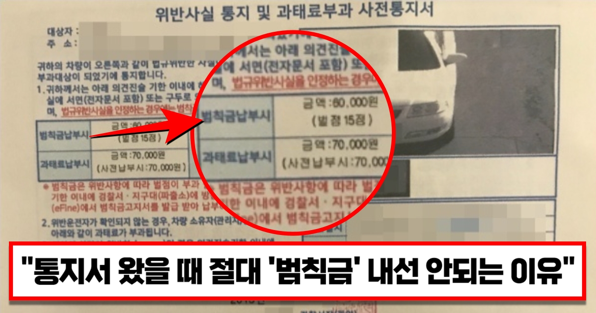 절대 범칙금 내지마세요 벌금 통지서 날아왔을 때 범칙금 절대 내서는 안되는 이유 1가지