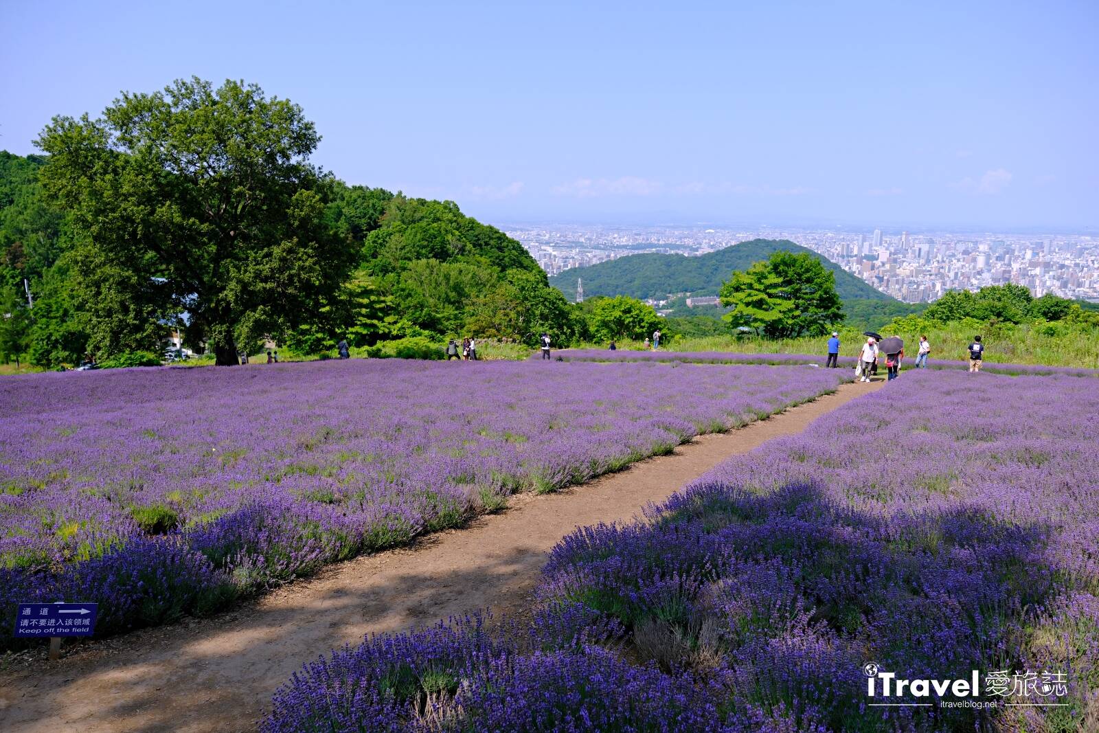 Horomitoge Lavender Garden：札幌絕美薰衣草花海景點 愛旅誌