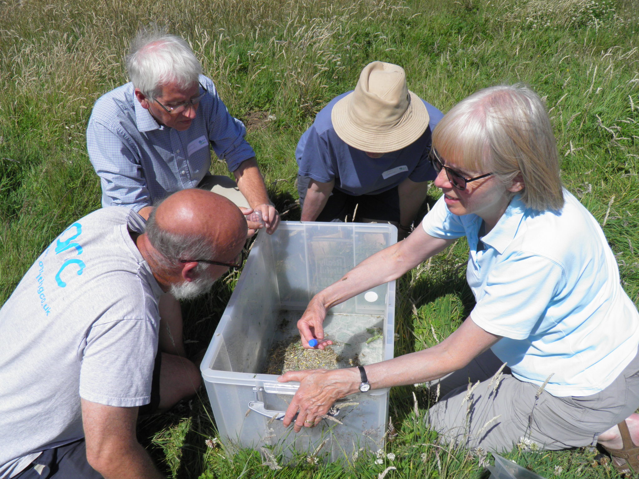 Isle Of Wight Natural History And Archaeological Society Recording