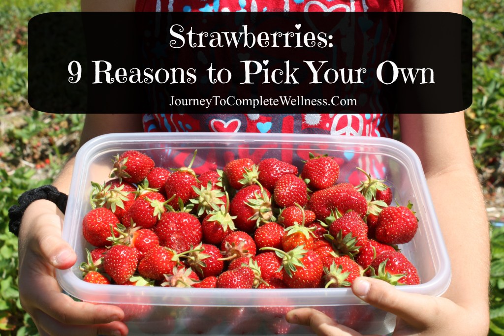 Strawberries 9 Reasons To Pick Your Own Journey To Complete Wellness