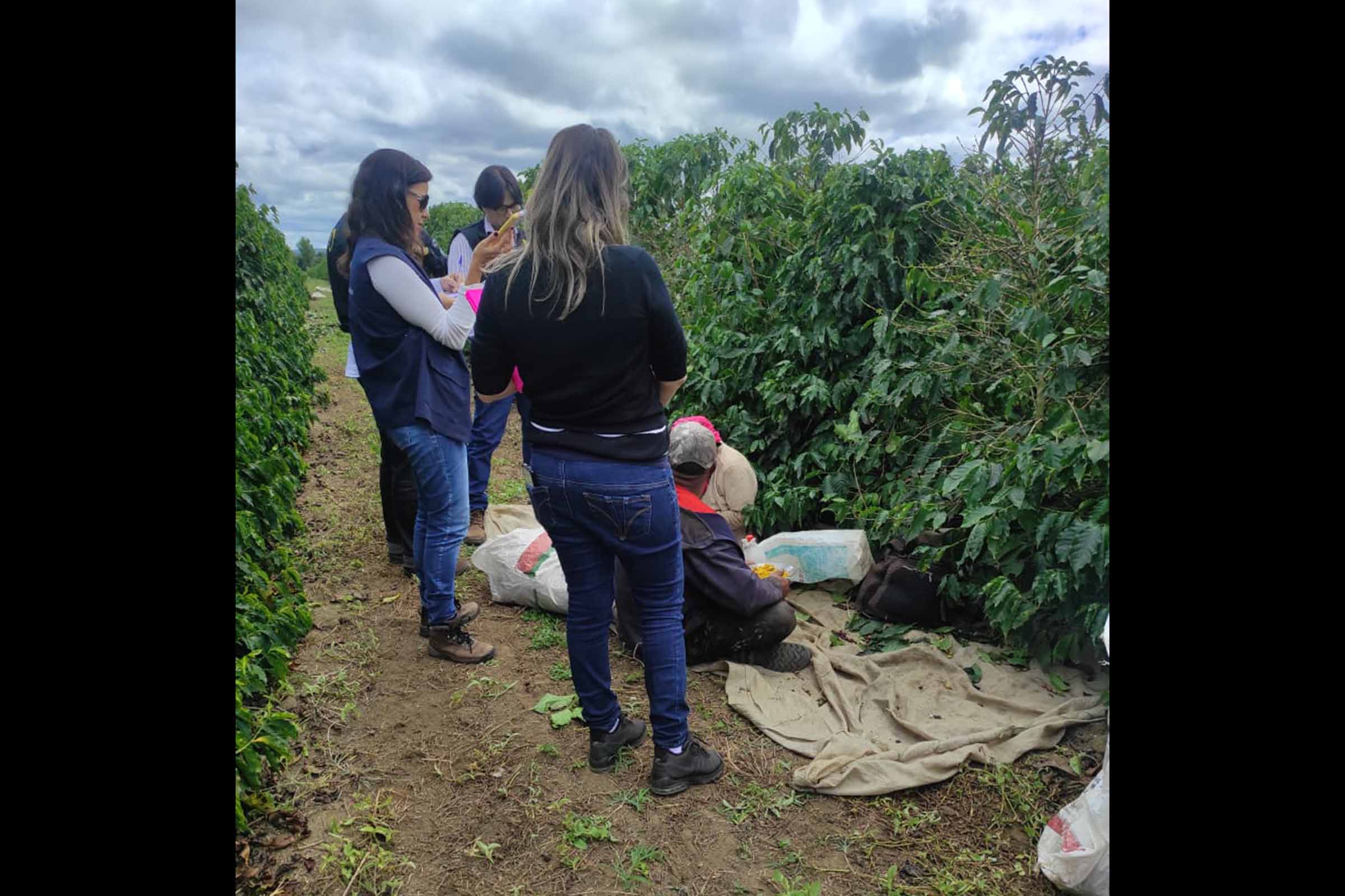 25 Trabalhadores São Resgatados Em Situação Precária Em Fazenda De Café