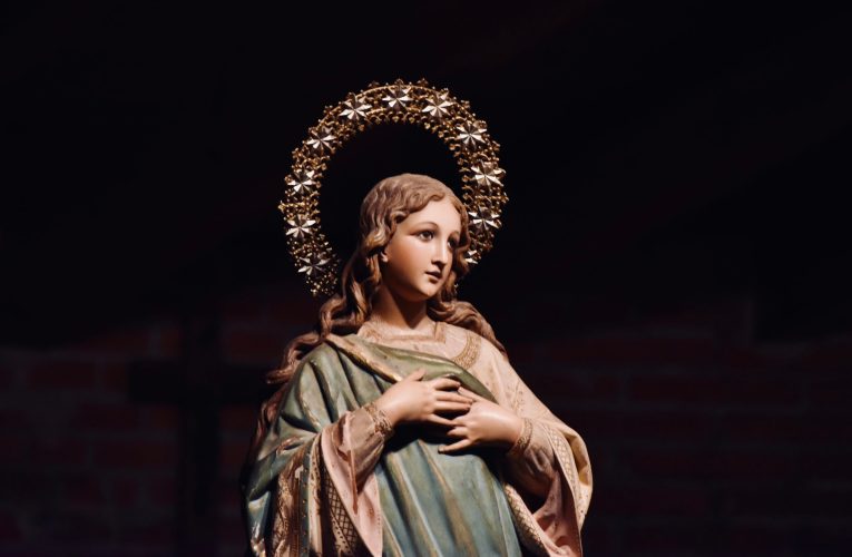 Solemnity Of The Immaculate Conception Jersey Catholic