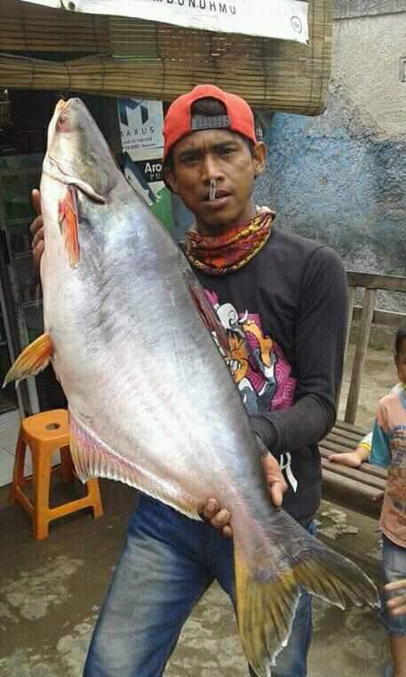 Doa Memancing Ikan Besar Doa Mancing Ikan Supaya Dapat Banyak Mudah