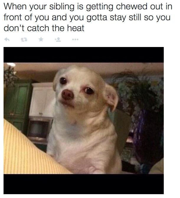 21 Hilarious Struggles Only People With Siblings Will Understand 7 Is