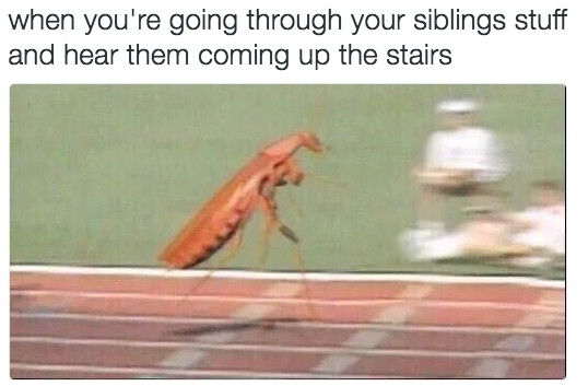 18 Hilarious Struggles Only People With Siblings Will Understand