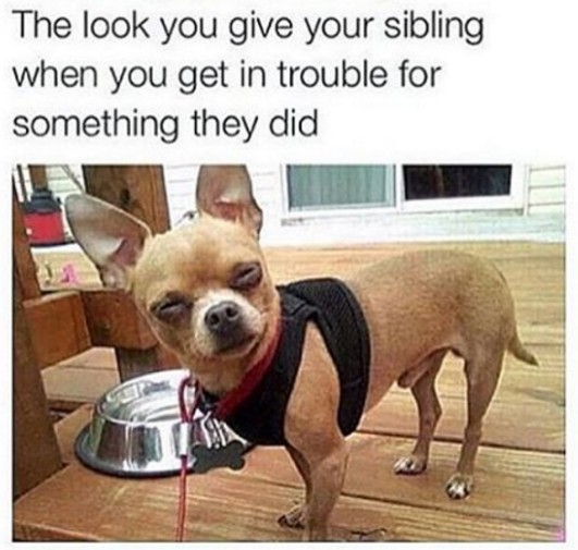 18 Hilarious Struggles Only People With Siblings Will Understand