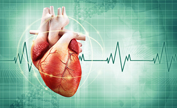 Eletrocardiograma Ecg O Que é Para Que Serve E Como é Feito O Exame