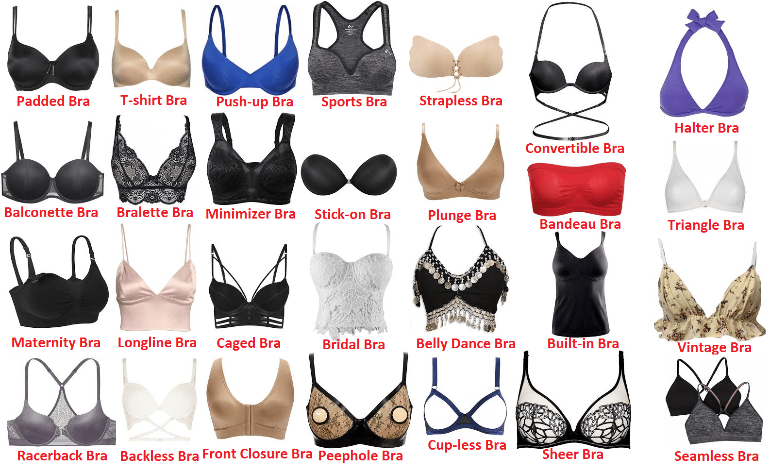 Types Of Bra Chart