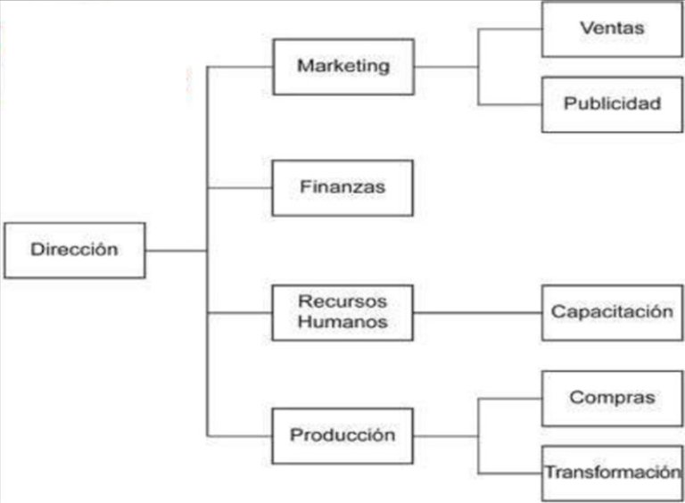 Organigramas Horizontales ¿qué Son Ventajas Y Desventajas Organigramas