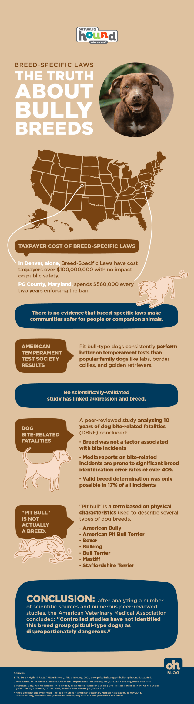 Social Justice Pit Bull Statistics And Bully Breed Myths Vs Facts