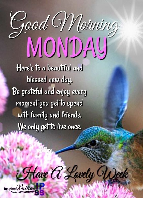 65 Good Morning Monday Quotes With S And Beautiful Images