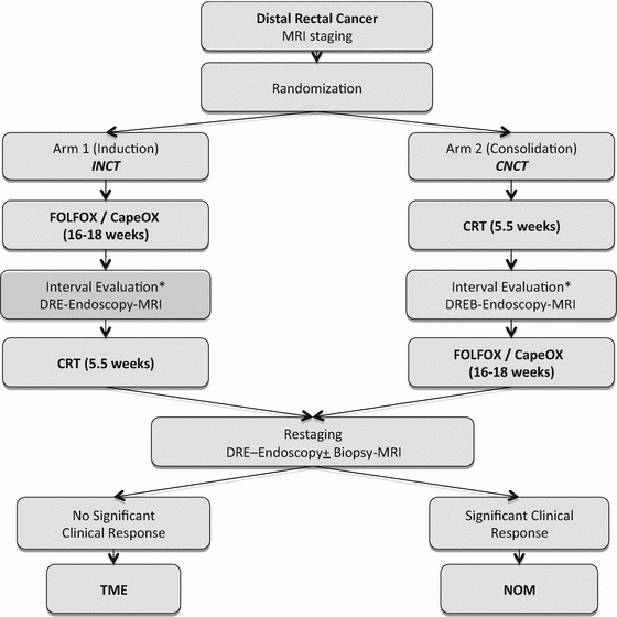 Maximizing Neoadjuvant Treatment Response And Watch And Wait Oncohema Key