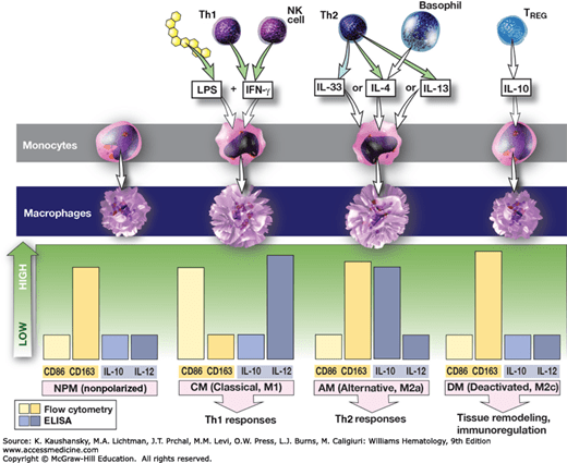 Production Distribution And Activation Of Monocytes And Macrophages