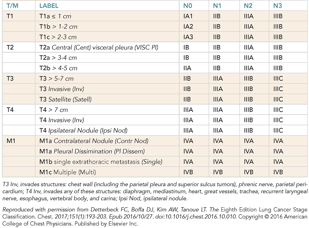 Staging Of Lung Cancer Oncohema Key