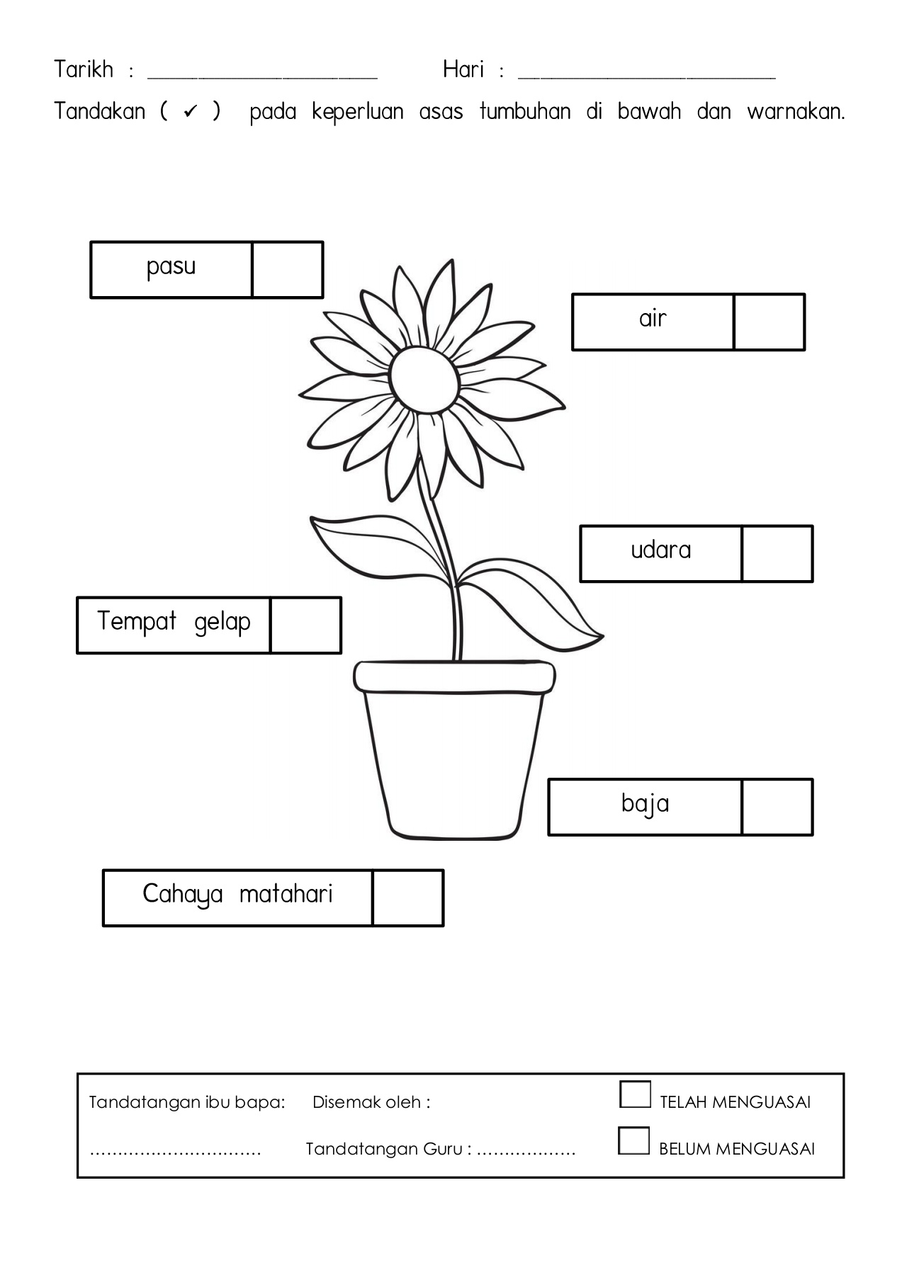 Worksheet Lembaran Kerja Prasekolah Tema Sayur Sayuran Stimulare