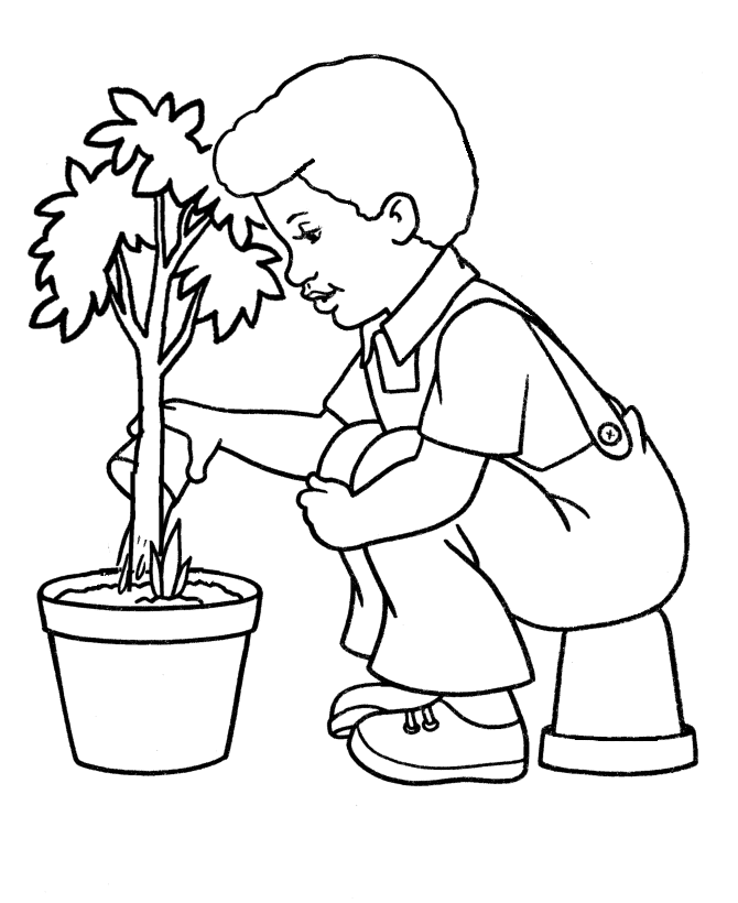 40 Desenhos De Plantas Para Colorir E Imprimir Online Cursos Gratuitos