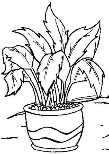 40 Desenhos De Plantas Para Colorir E Imprimir Online Cursos Gratuitos