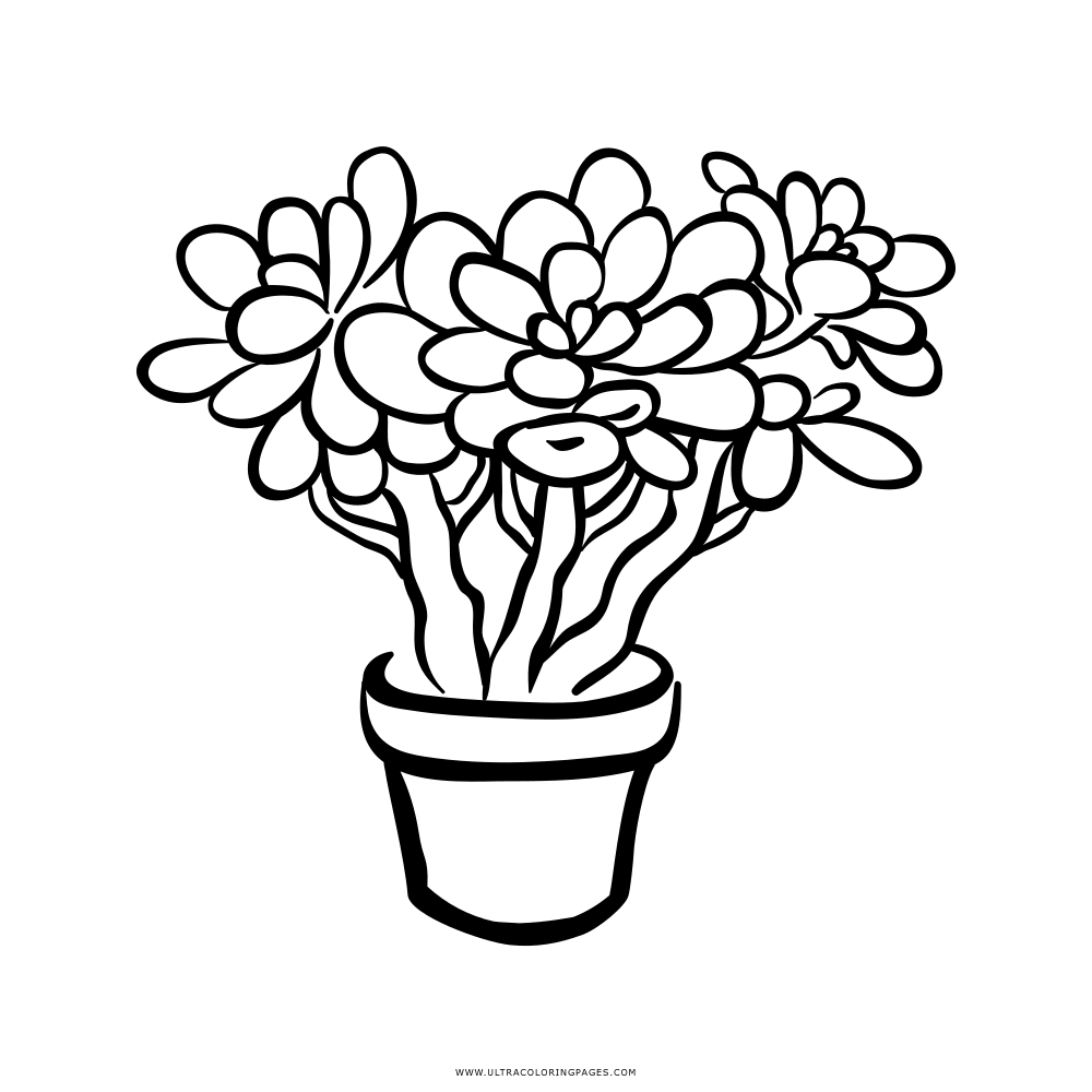 40 Desenhos De Plantas Para Colorir E Imprimir Online Cursos Gratuitos