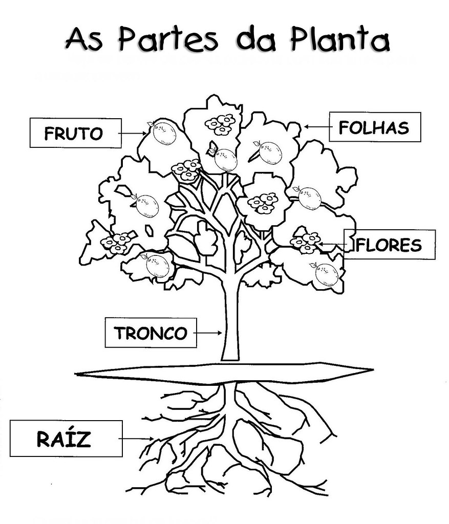 40 Desenhos De Plantas Para Colorir E Imprimir Online Cursos Gratuitos