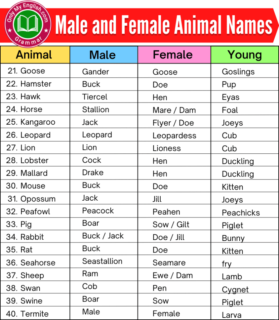Male And Female Animal Names List