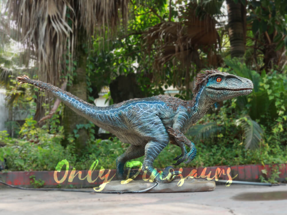 Feathered Blue Animatronic Velociraptor Only Dinosaurs