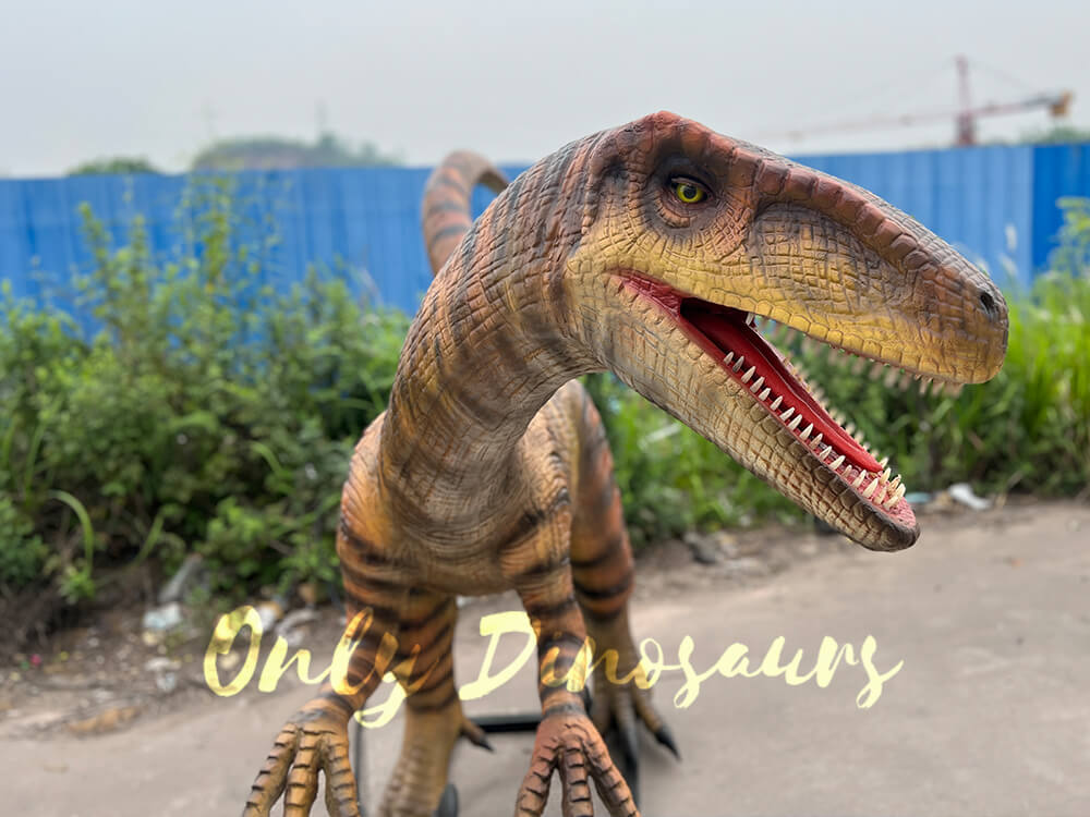 Realistic Animatronic Dinosaurs For Sale Only Dinosaurs