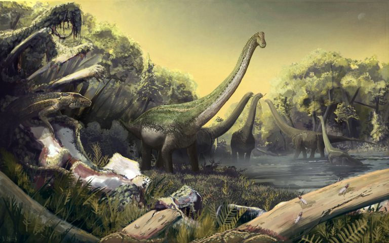 Titanosaurs Top 15 Biggest Dinosaurs Of The World