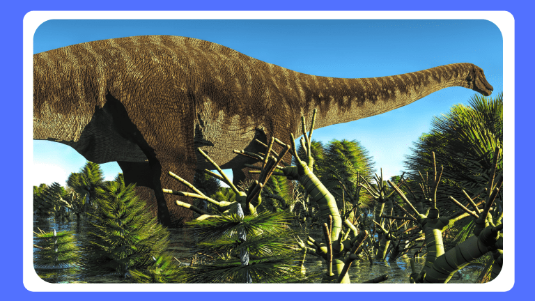 The Coolest Facts About Herbivore Dinosaurs You Should Know