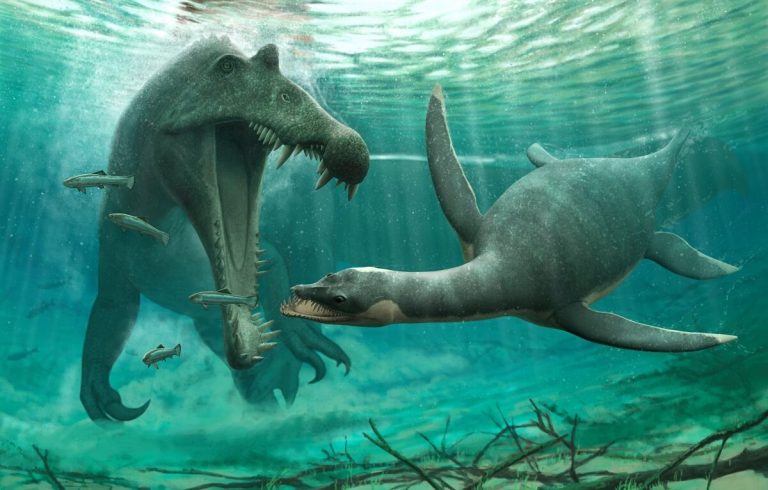 Plesiosaurus Facts The Intriguing Mystery Of It Only Dinosaurs