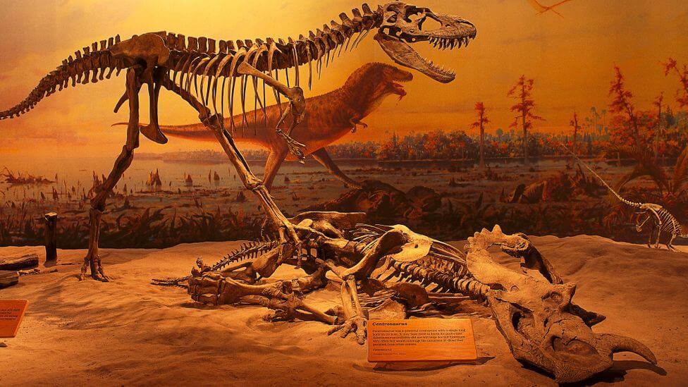 Uncovering The Mysteries The Evolution Of Dinosaurs Site