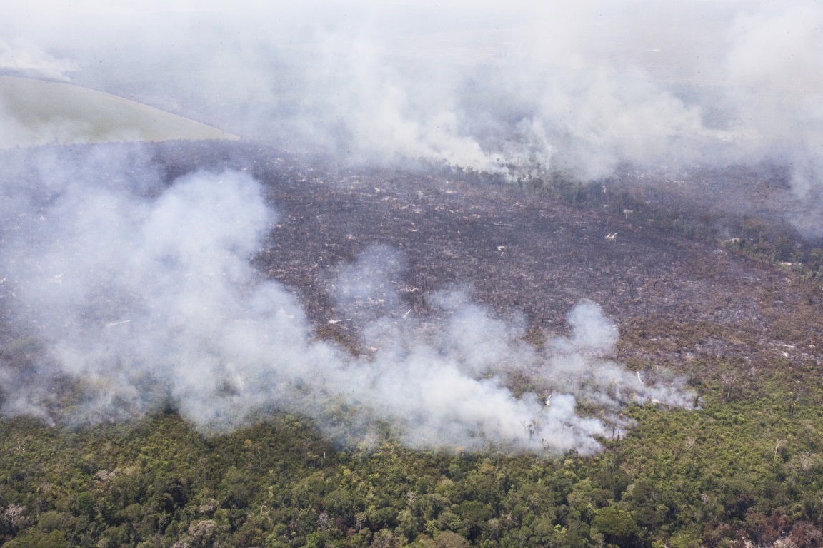 Amazônia Deve Ter Recorde De Queimadas Oeco