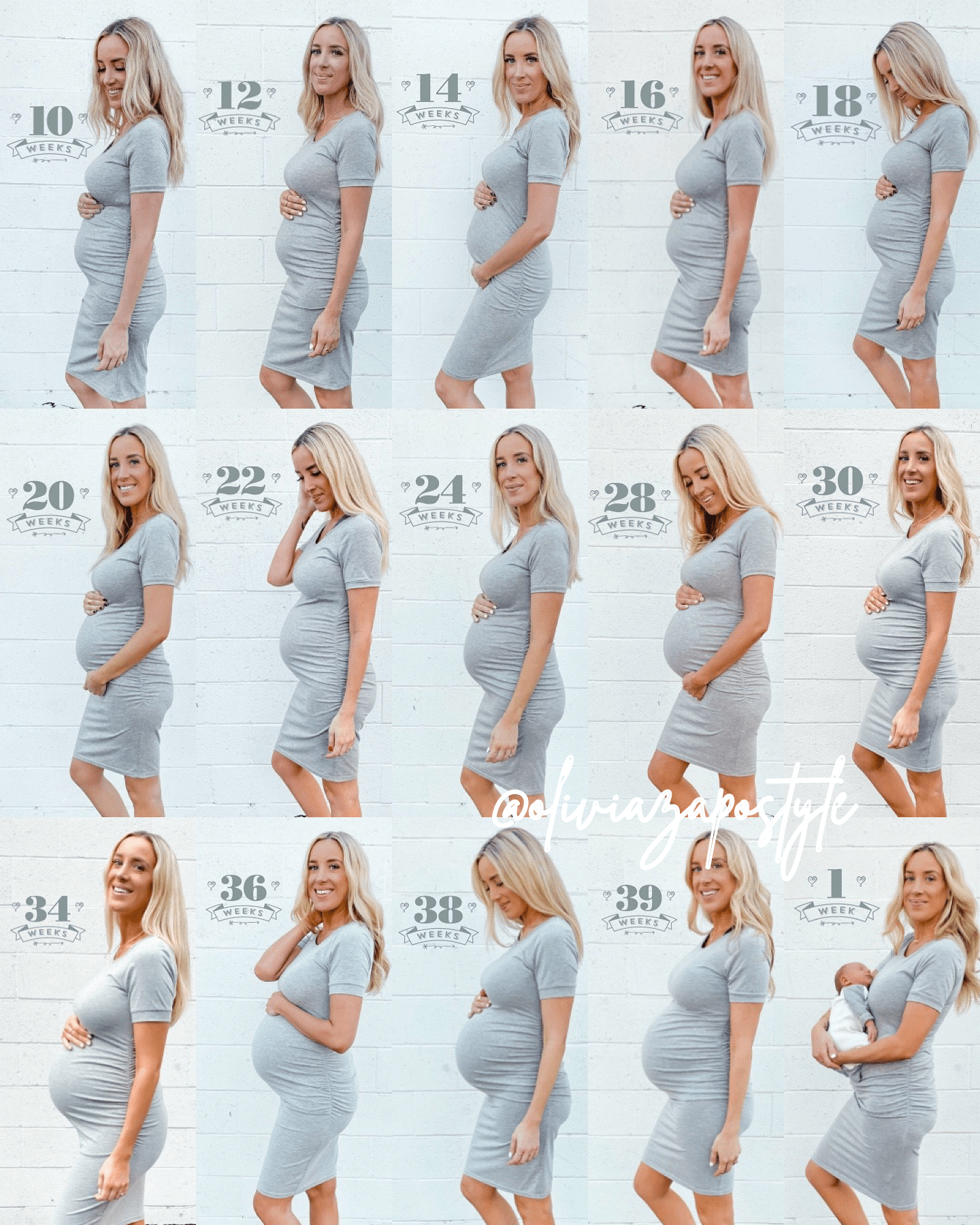 Pregnancy Progression Olivia Zapo