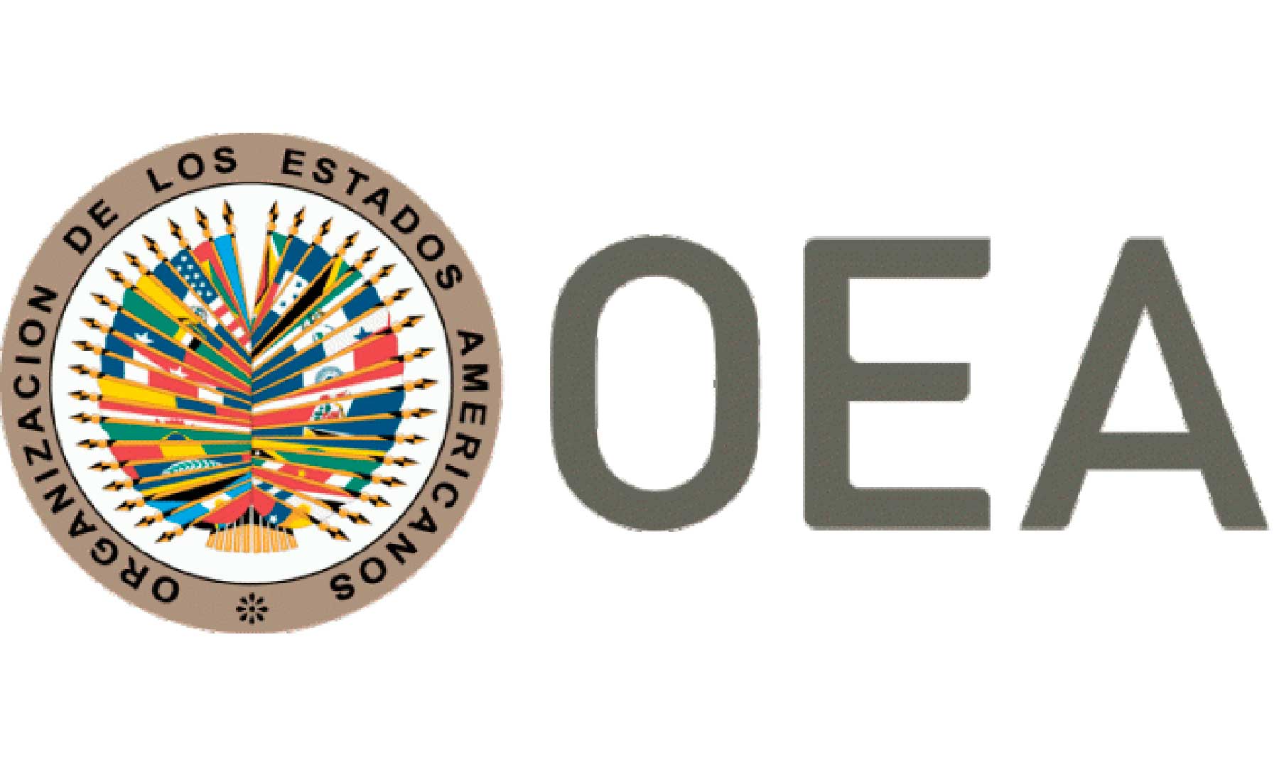 Oea Observará Las Elecciones En Panamá La Gaceta