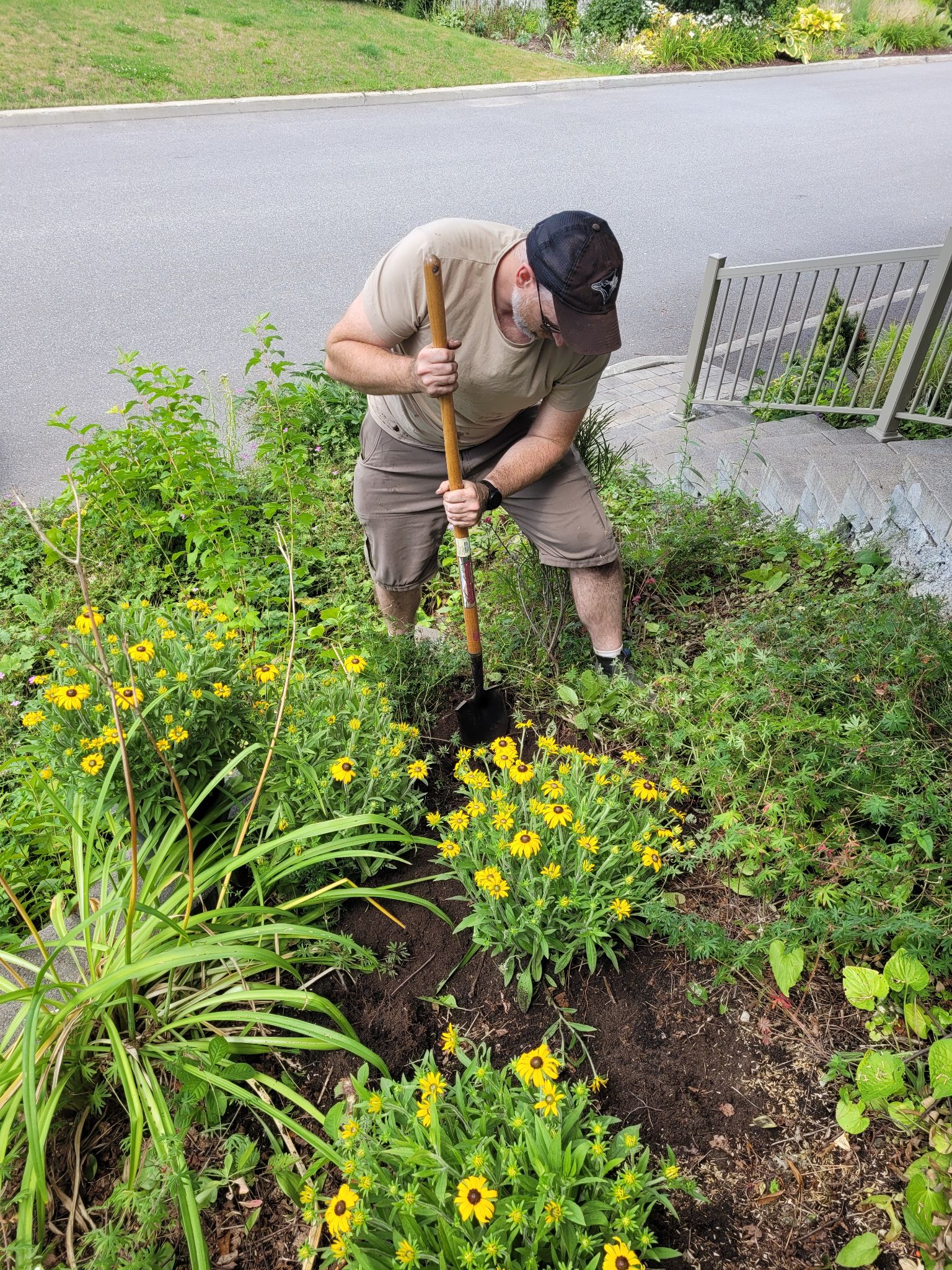 The Toil Of A Laidback Gardener Laidback Gardener