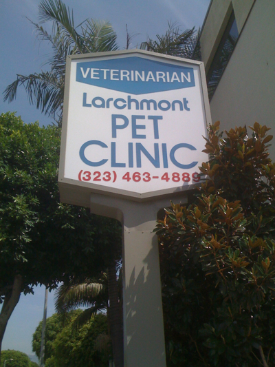 Larchmont Animal Clinic Larchmont La