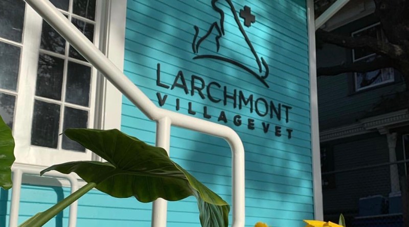 Larchmont La Larchmont Village In Los Angeles