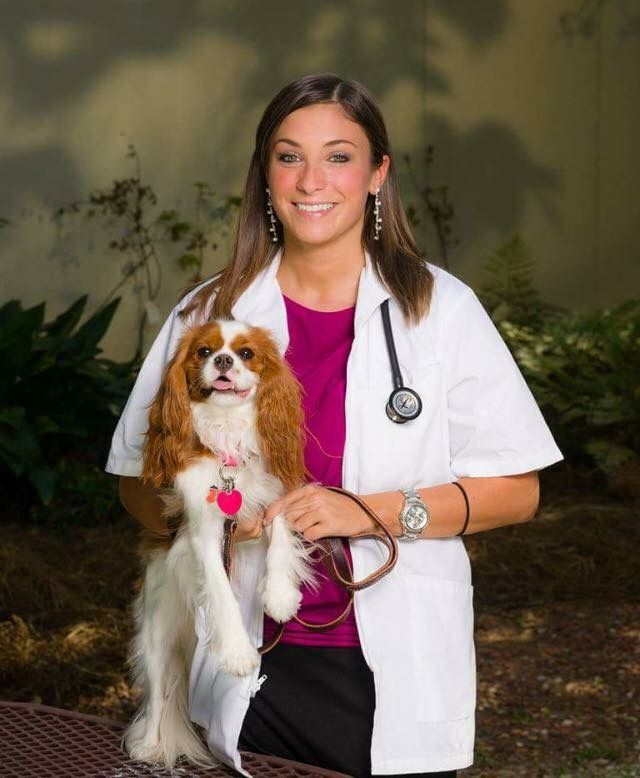 Our Doctors Larchmont Village Vet