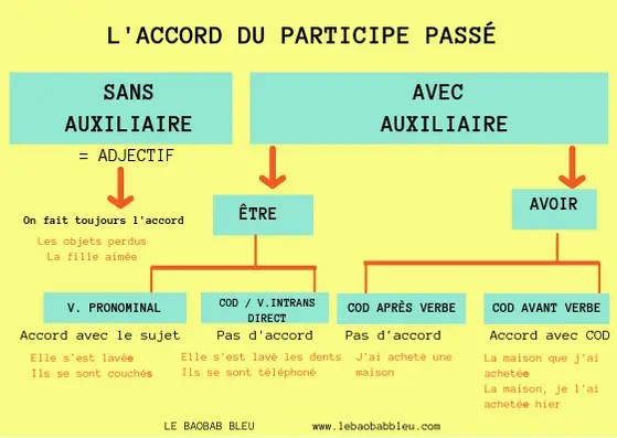 2º Laccord Du Participe PassÉ Le Baobab Bleu