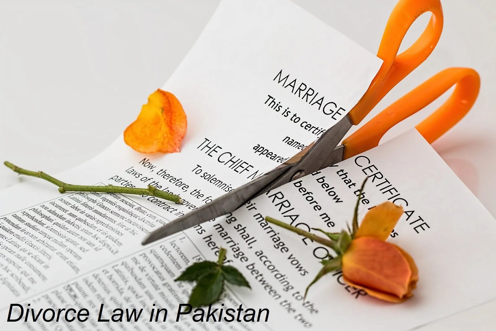 Divorce Law In Pakistan New 2019 2020 2021 2022 Legal Law Firm