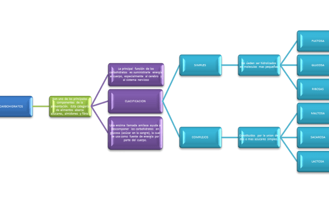 22 Diferencia Cuadro Sinoptico Y Mapa Conceptual Png Nietma Theme