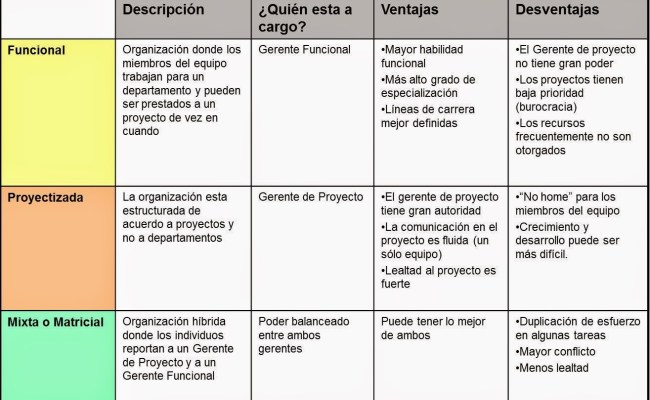 Cuadro Comparativo Estructura Organizacional Y Organi